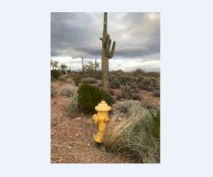 Clow hydrant spotted near Fort McDowell Resort in Scottsdale, Arizona ...